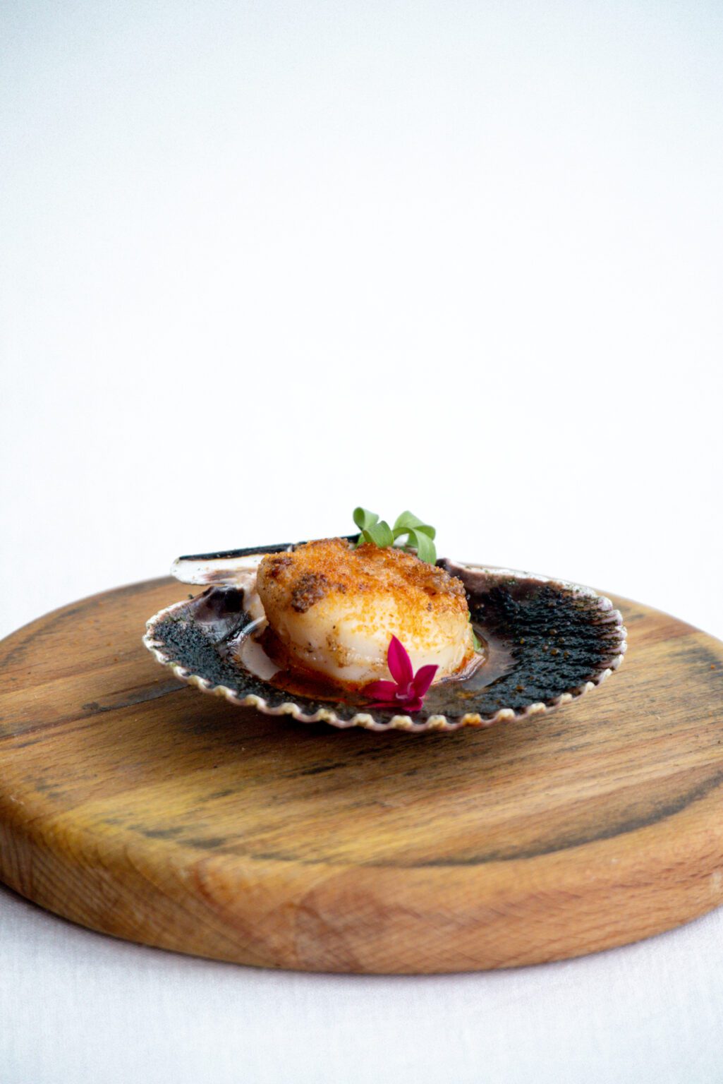 TERRA FOOD CONCEPT | Restaurant in Funchal city centre, in Madeira Island