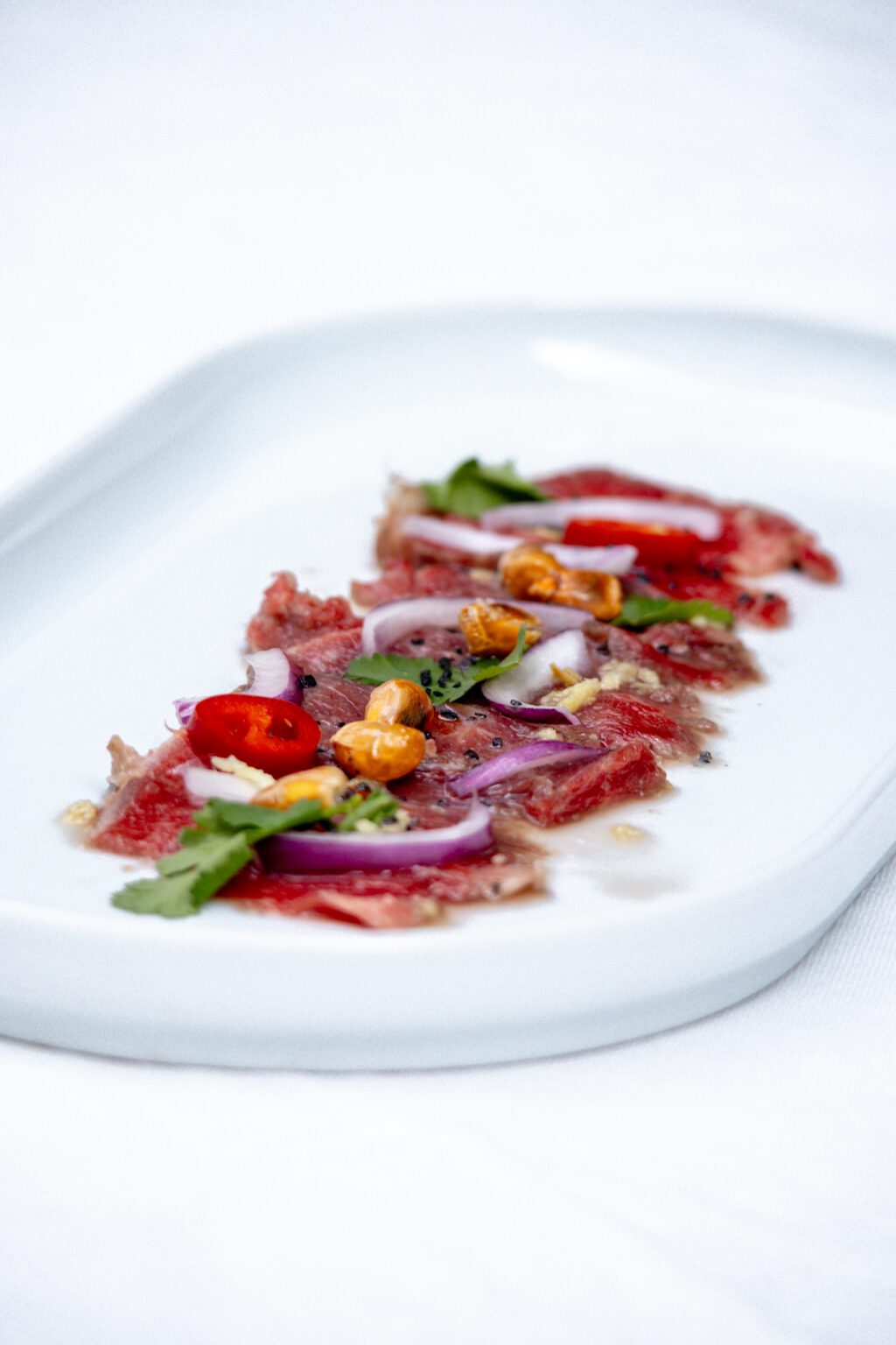 TERRA FOOD CONCEPT | Restaurant in Funchal city centre, in Madeira Island